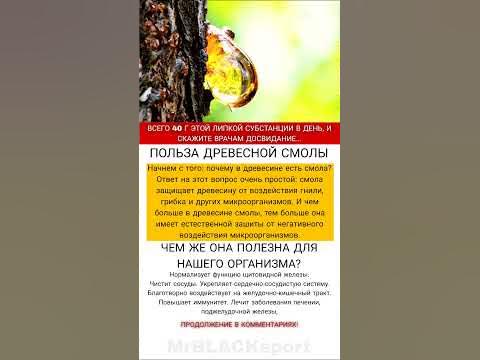 Древесная Смола | Польза Для Организма #shorts - YouTube