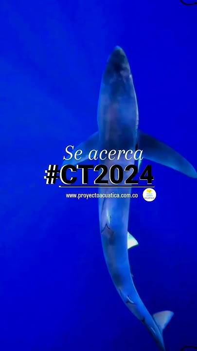 #sharkslove #Oceanlove #ProyectoAcuatica #CT2024 #sharkslover #sharks #shark #CharlasElOceáno ...