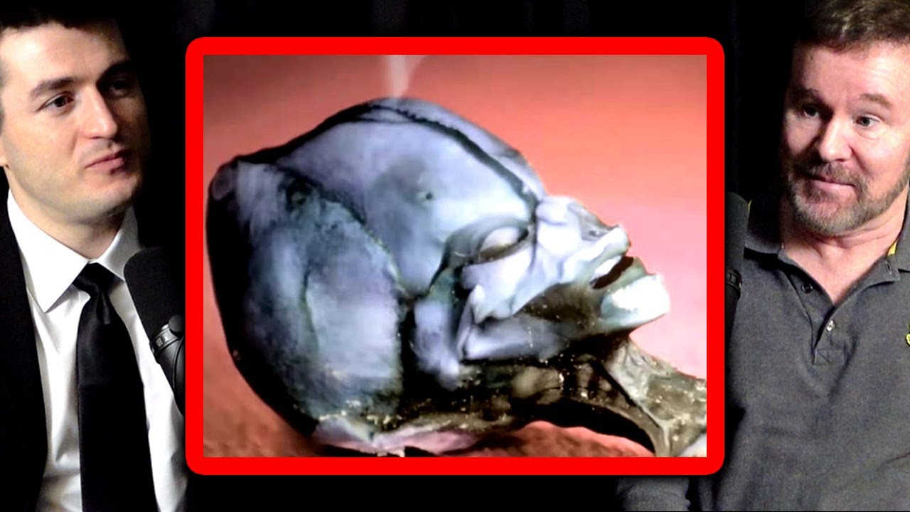 Truth about Atacama Alien skeleton | Garry Nolan and Lex Fridman - YouTube