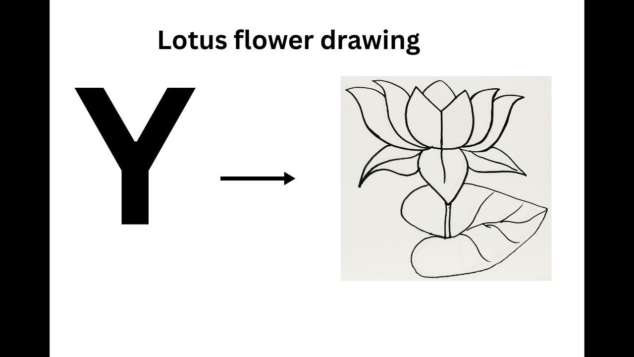 How to draw Lotus flower from Y Letter|| Easy Lotus flower drawing ...
