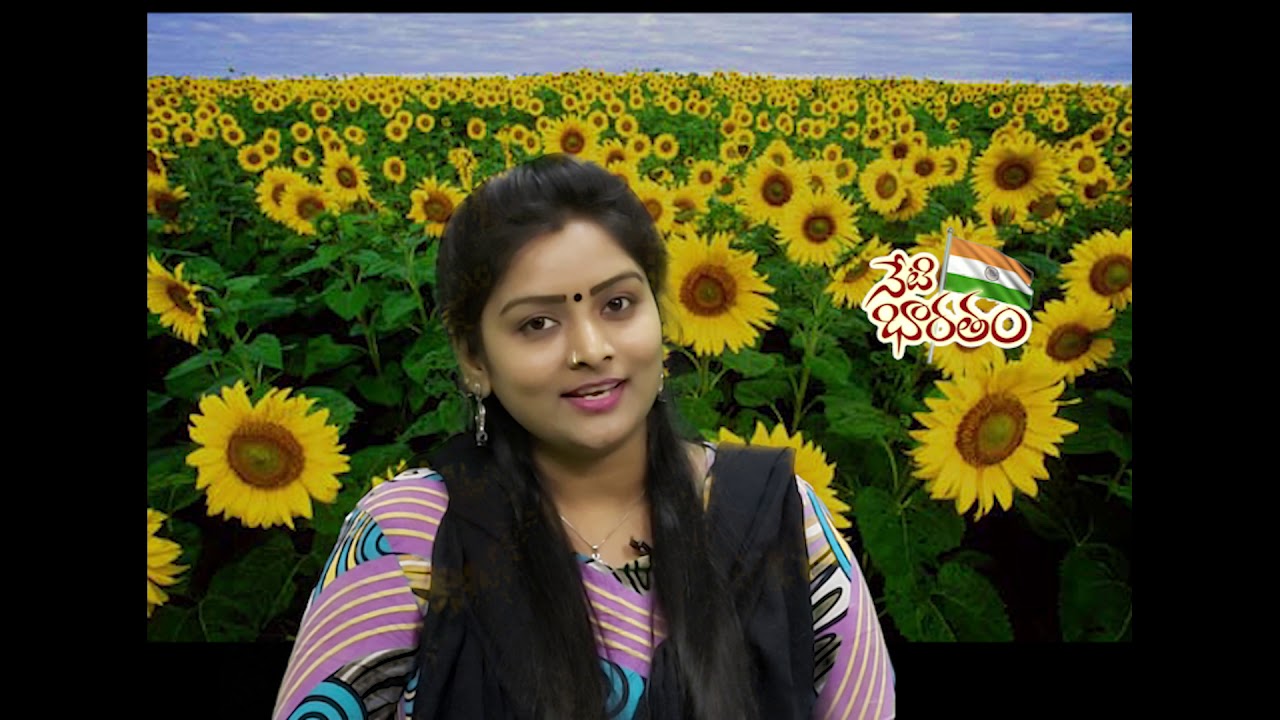 సినిమా ఛాన్స్ రావాలంటే || మా ఛానల్ కి రండి || మార్పే మా లక్ష్యం || Neti ...