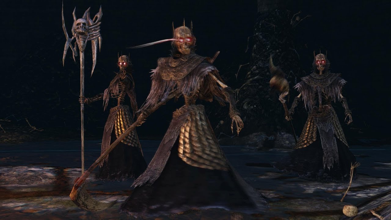 Dark Souls 2: Boss Hunt- Skeleton Lords - YouTube