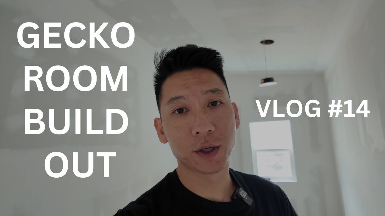 Gecko Room Build | Vlog #14 of Zero's Geckos - YouTube