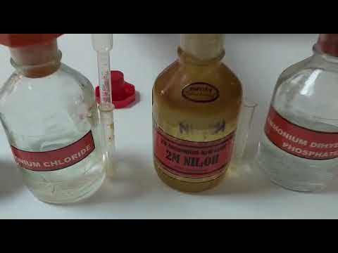 Magnesium cations: identification and confirmation - YouTube