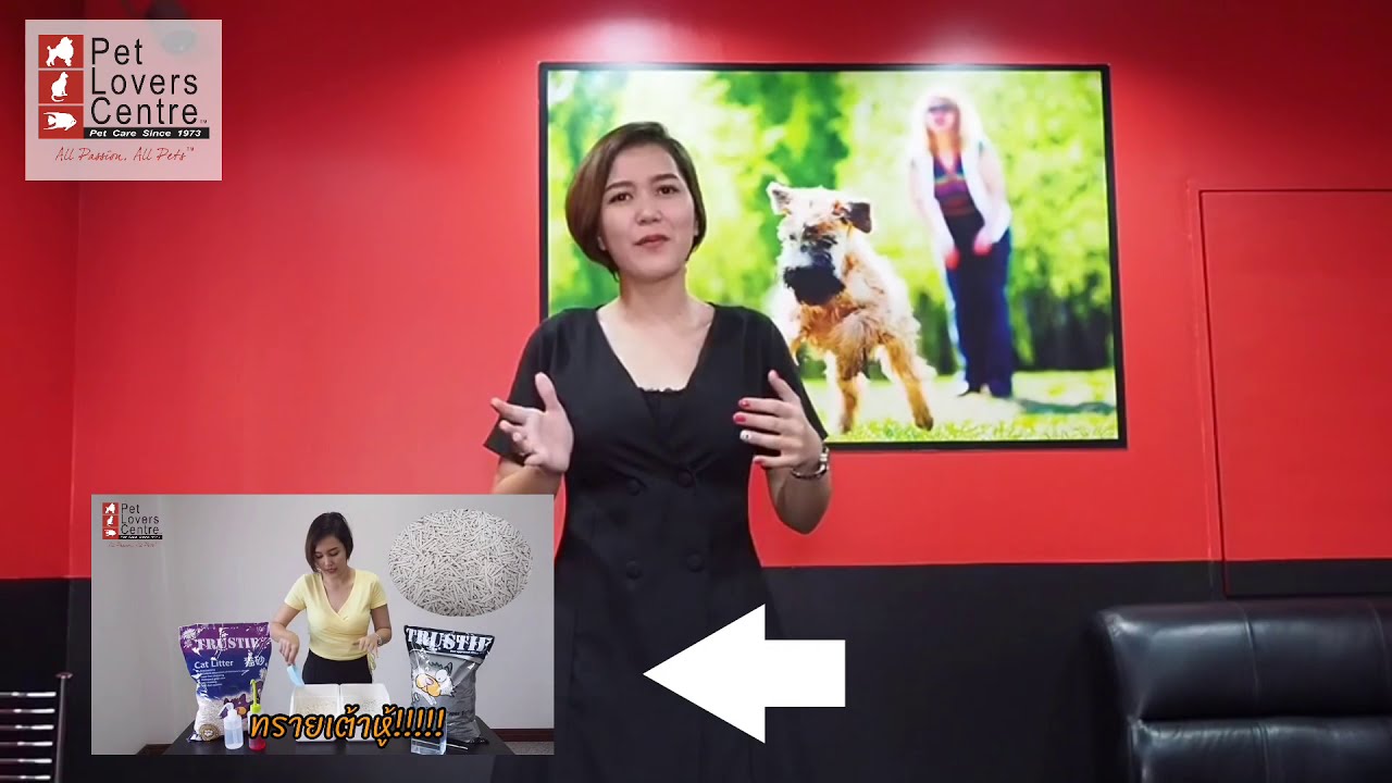 เบาะสุนัข แบรนด์ Dog Gone Smart | Pet Lovers Centre Thailand - YouTube