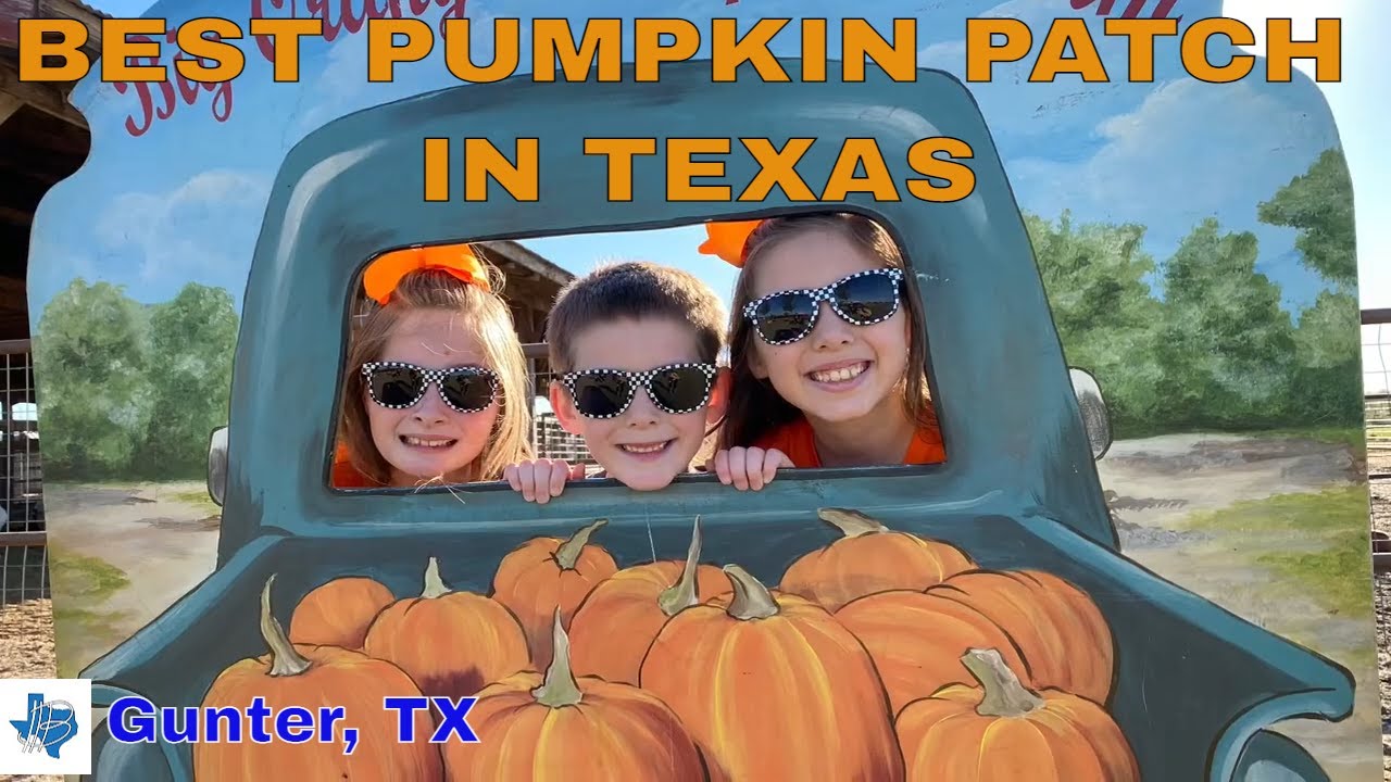Preston Trail Farms Pumpkin Patch - Gunter, TX - YouTube