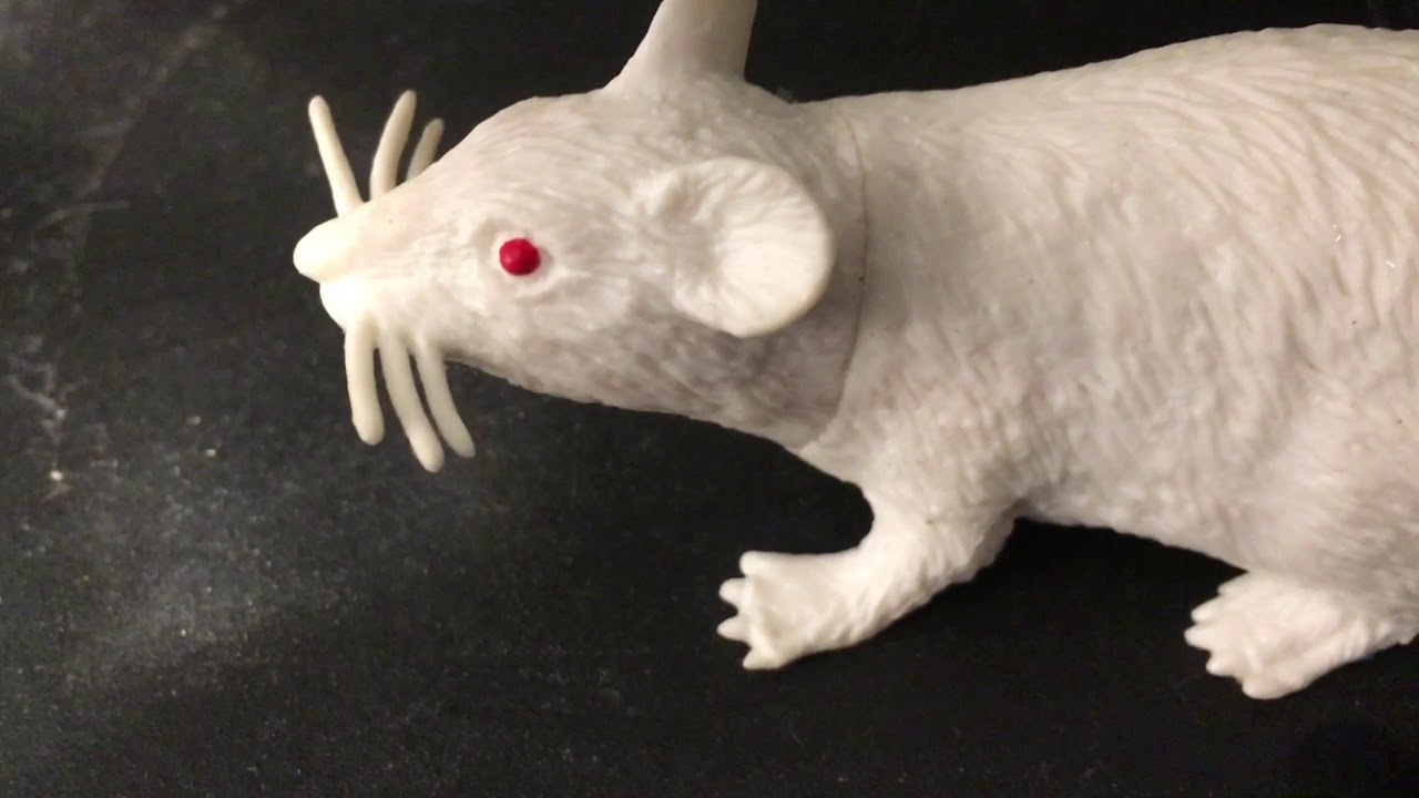 Gilbert the fish - YouTube