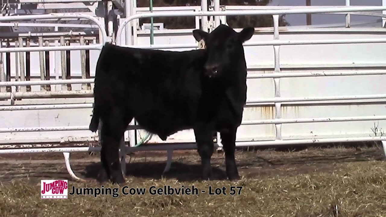 Lot 57: JCGR Bar GT Rocky 255B - YouTube