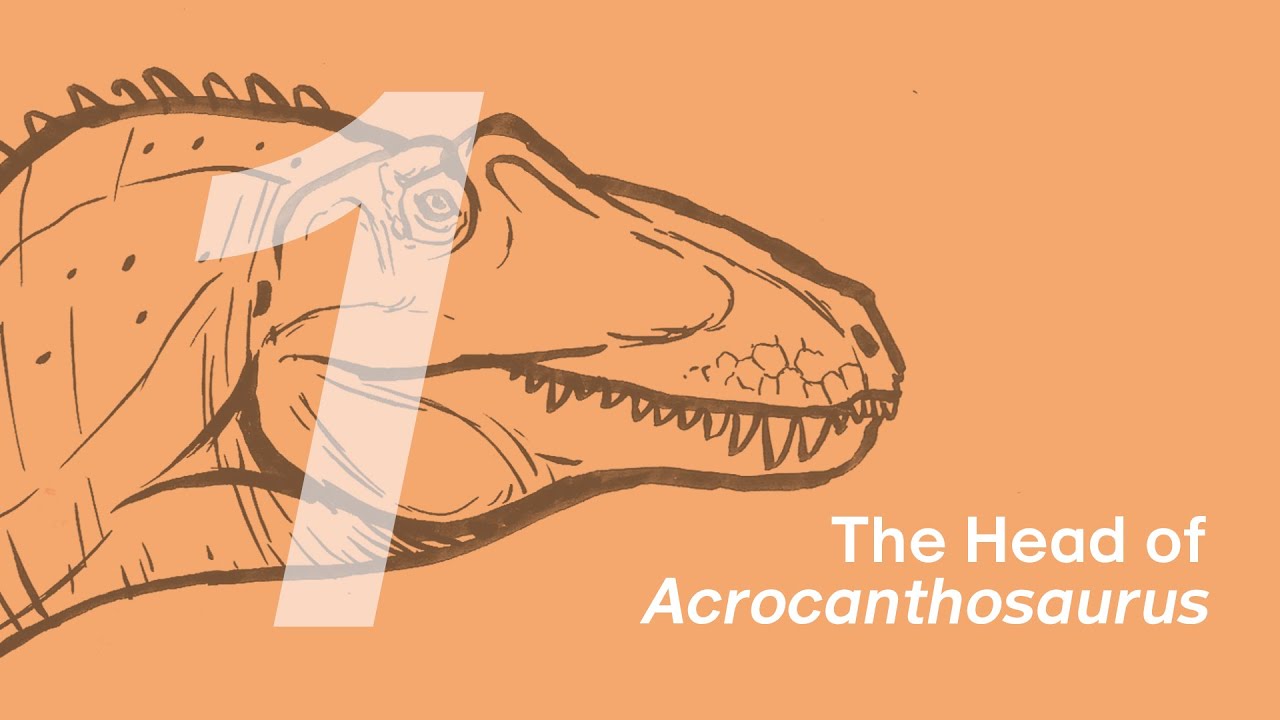 Fergus the Acrocanthosaurus 1: The Head | Learn to Draw Dinosaurs with ...