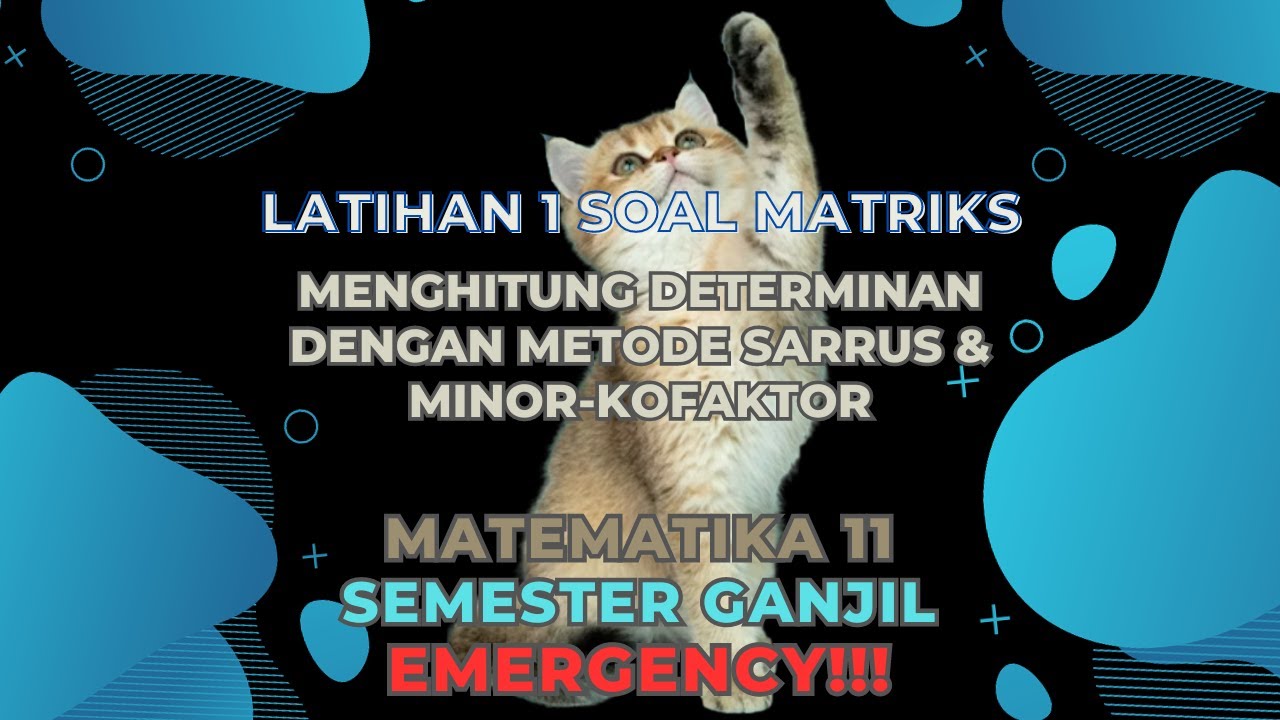 Matematika XI: Menentukan Nilai Determinan Matriks dengan Metode Sarrus ...
