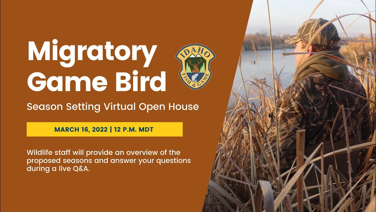 Migratory Game Bird Season Setting Virtual Open House - YouTube