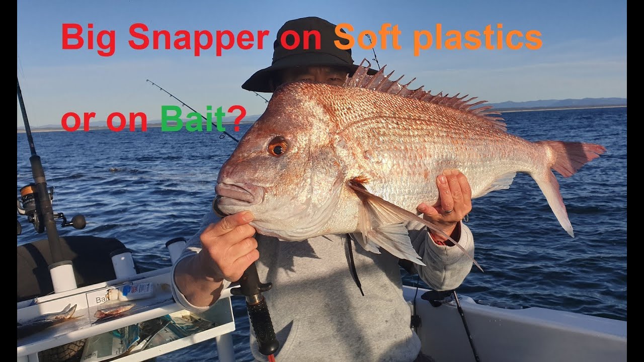 How to catch a big snapper | 85cm Snapper | Haines Signature - YouTube