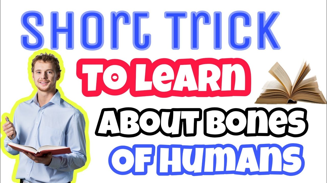 Short Tricks To Learn Human Bones Skeletal System YouTube short-tricks-to-learn-human-bones-skeletal-system-youtube