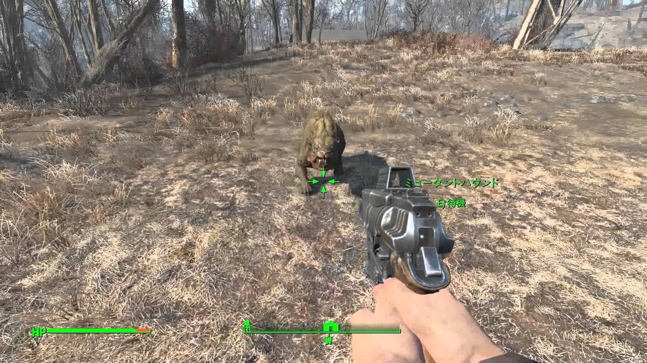 Fallout4 Perk - Animal Friend - YouTube