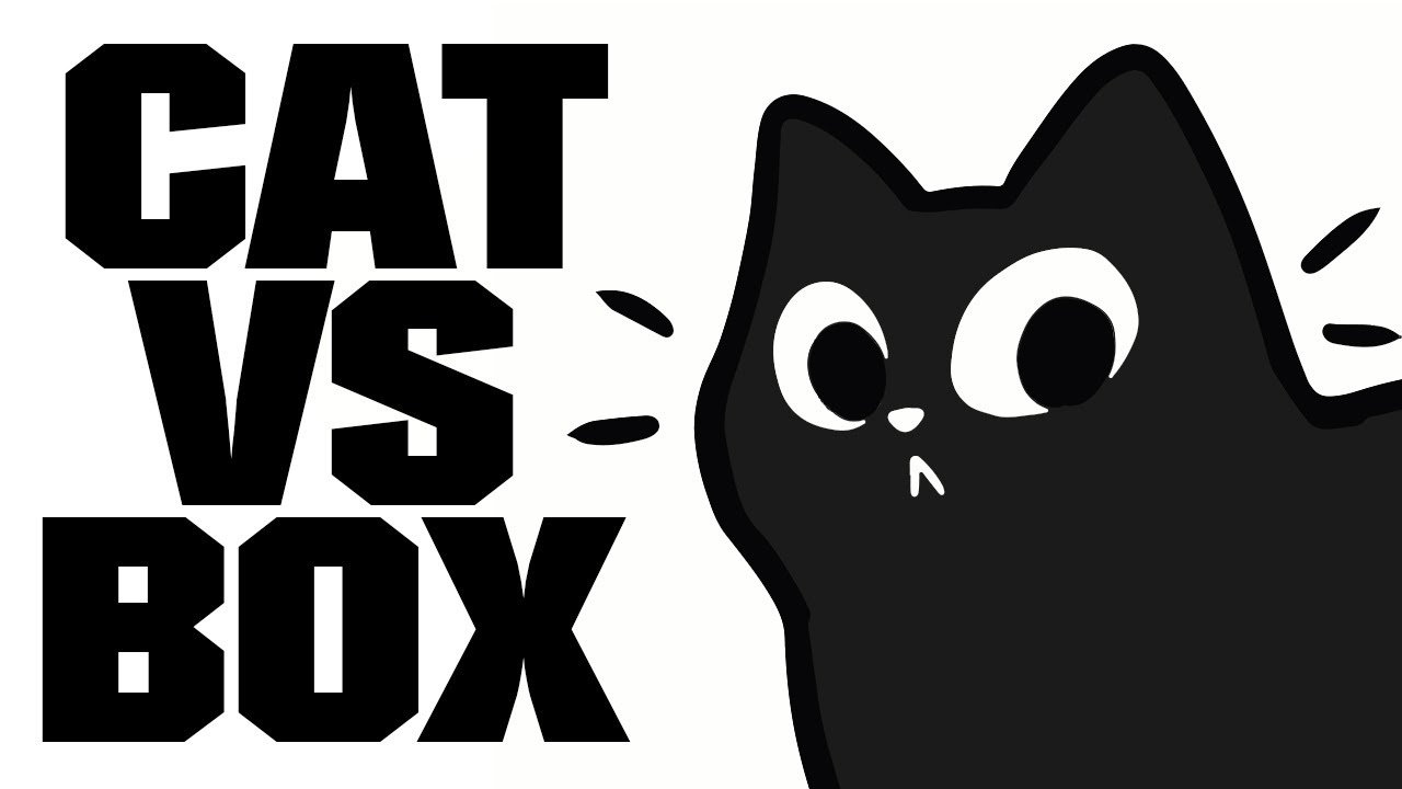 Cat vs Box | Animation - YouTube