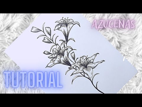 Como dibujar Ramo de Azucena(TUTORIAL #13)How to draw bouquet of lilies ...