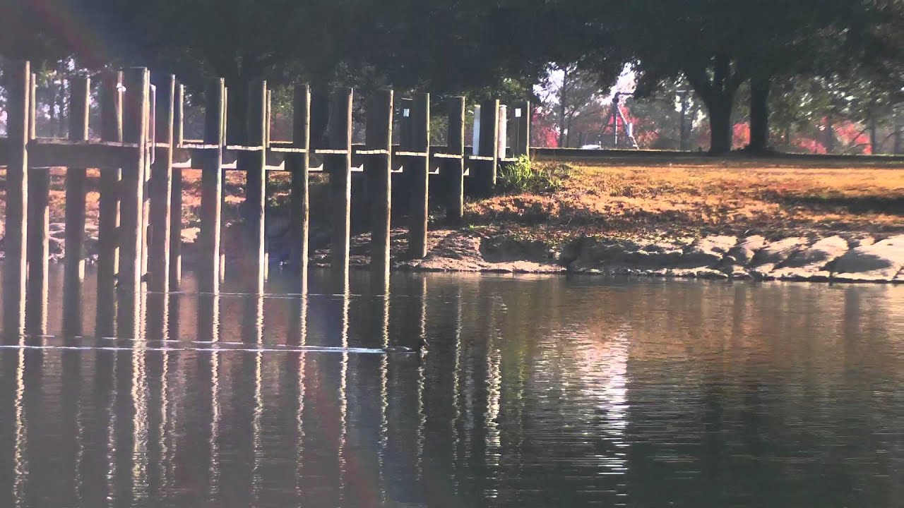 Red Head kill | Duck hunting | ATN Shot Trak HD Hunting Gun Camera ...