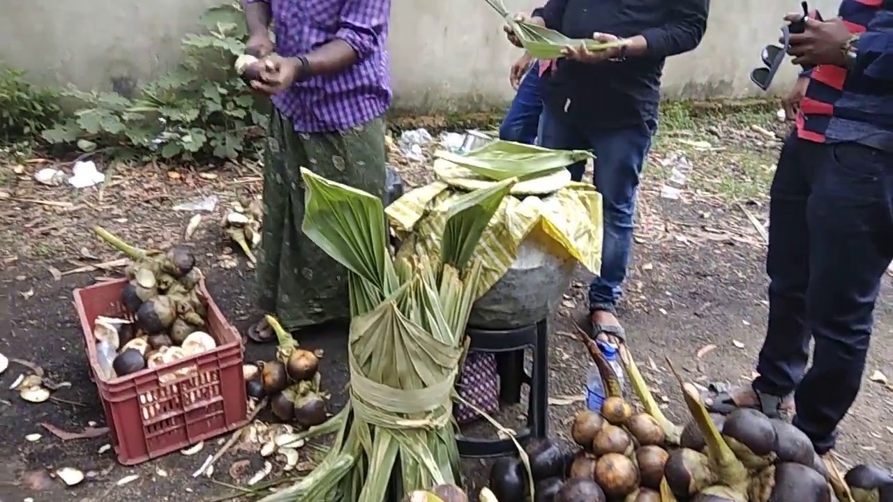 pathaneer , Pathini Natural drinks at kodaikanal - YouTube