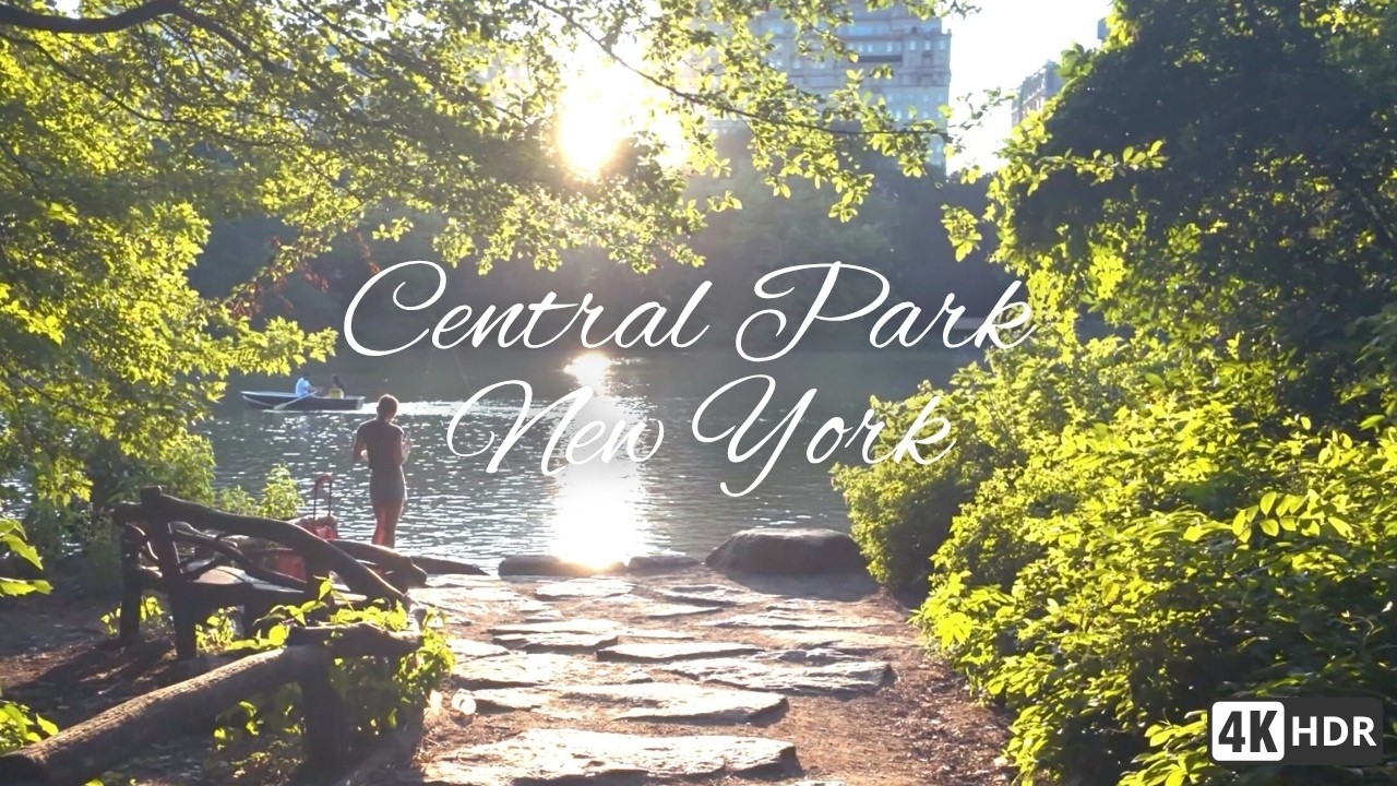 Golden Hour in Central Park 🌳 A Relaxing Walk in New York [4K] - YouTube