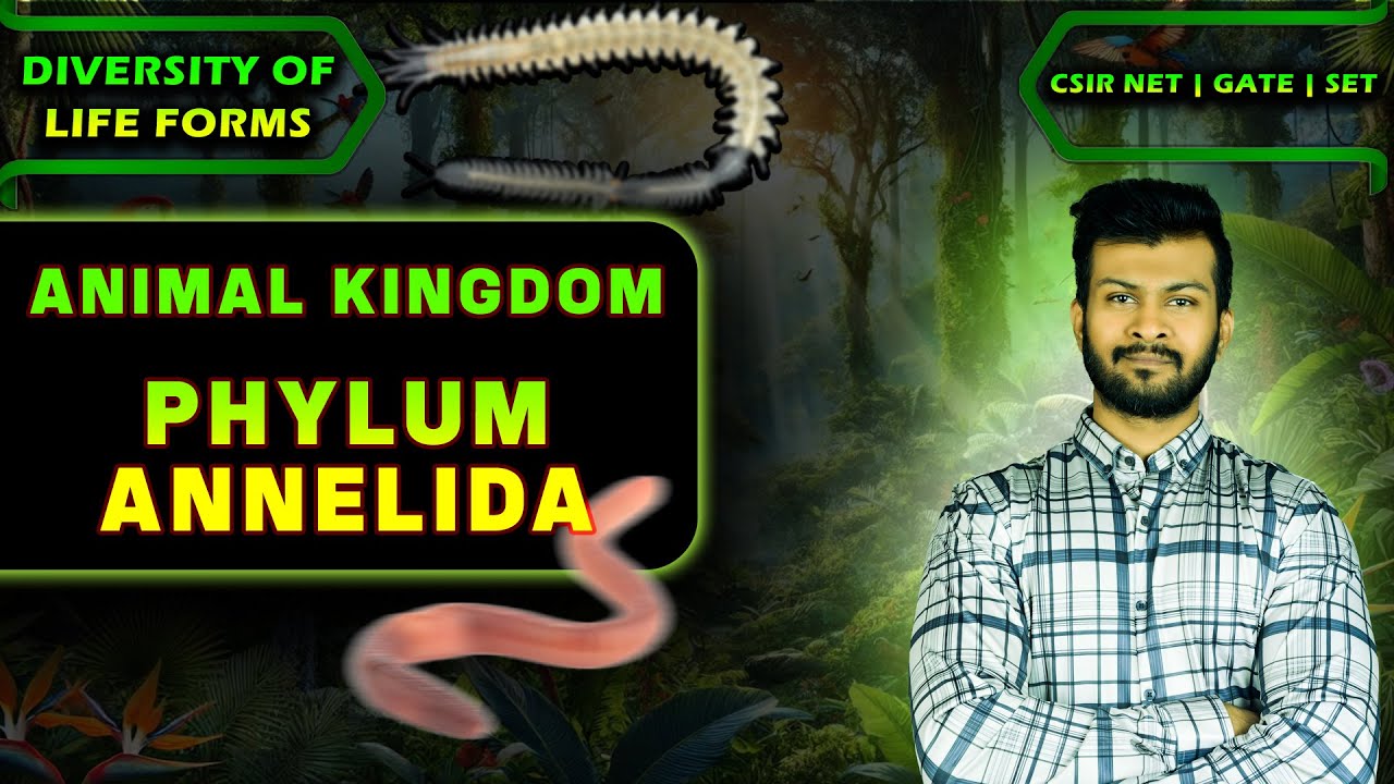 Diversity Of Life Forms CSIR NET | Animal Kingdom CSIR NET | Phylum ...