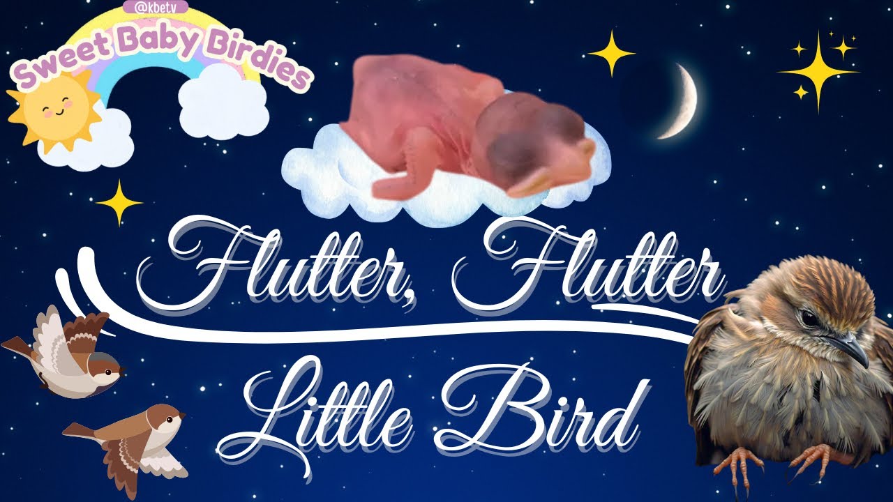 Flutter, Flutter Little Bird - Sweet Baby Birdies | Sing-A-Long Lullaby ...