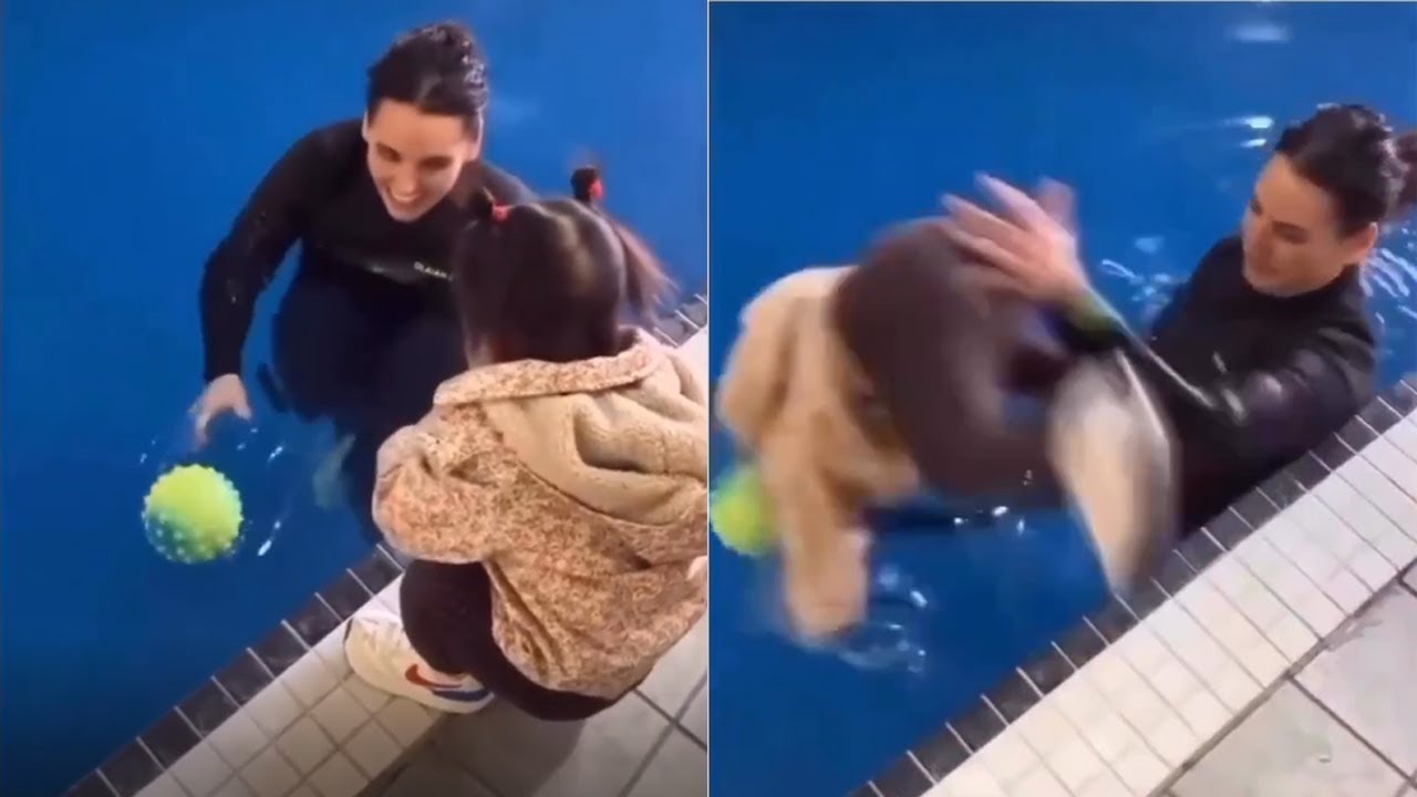 Never Trust the Swim Coach | Daily Dose of Try Not To Laugh Funny ...