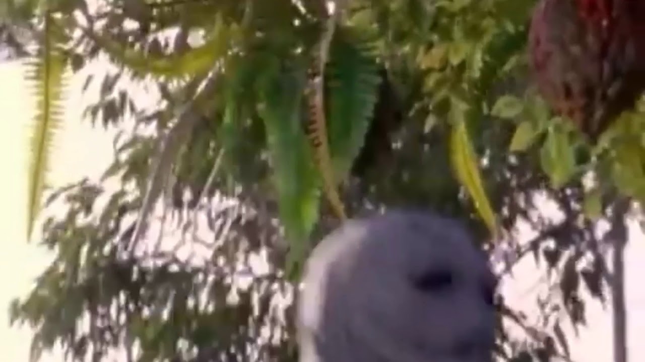 Mmpr putty fight - YouTube