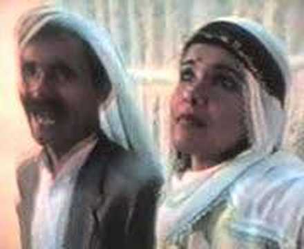 bave teyar