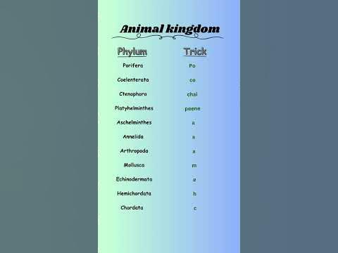 Animal kingdom’s phylum tricks to learn 🔥 #biologyclass #neet2024 # ...