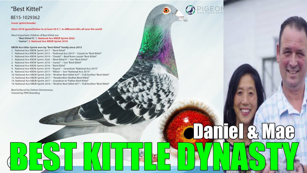 "Best Kittle Dynasty" - Daniel Dehon - YouTube