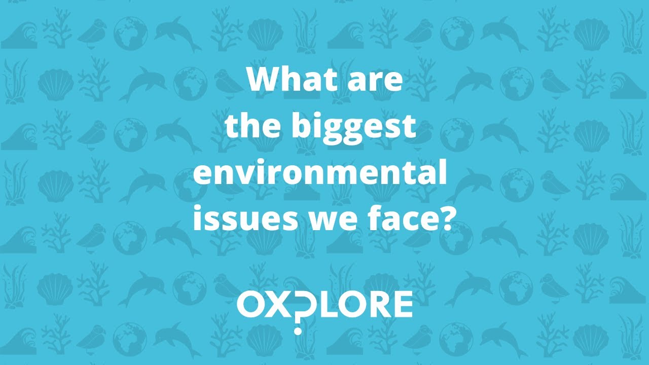 What are the biggest environmental issues we face? - YouTube
