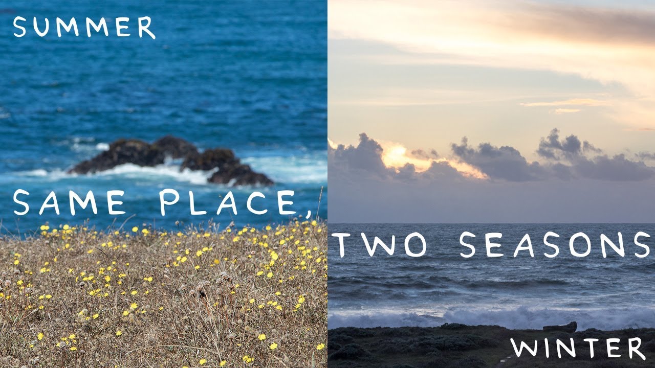 🌊 Same Place, Different Seasons 📷 - A Cabin by the Ocean - YouTube