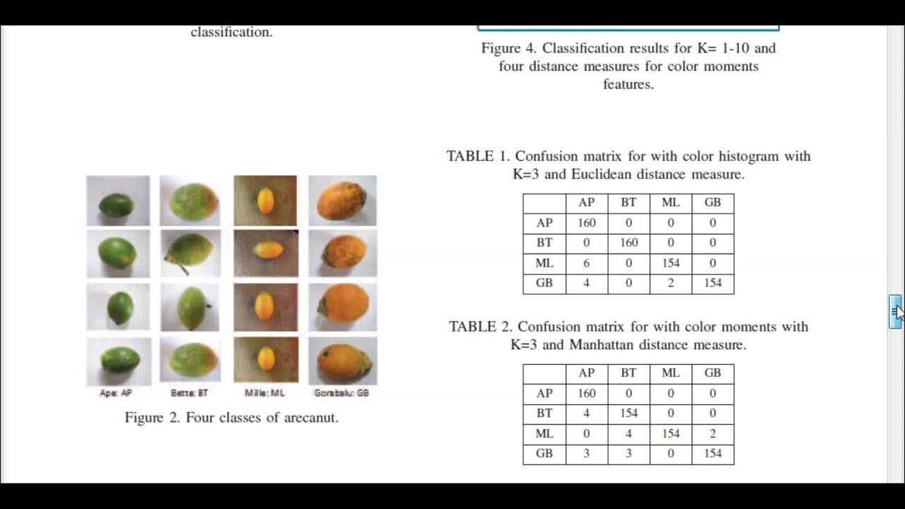 Classification of Raw Arecanut using Color Features and KNN in Machine Learning - YouTube