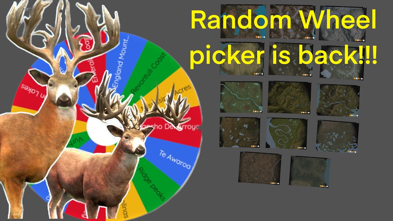 Random Wheel Picker Is Back!!!!!! - YouTube