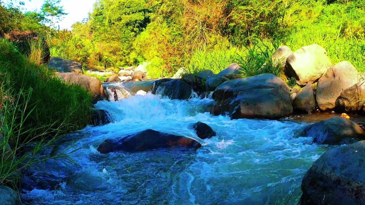 Natural River Sounds Nature Sounds White Noise Water Sounds For Deep ...