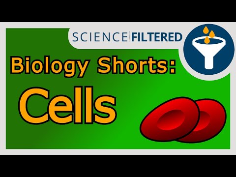 Video 43 - Diffusion: The Concentration Gradient
