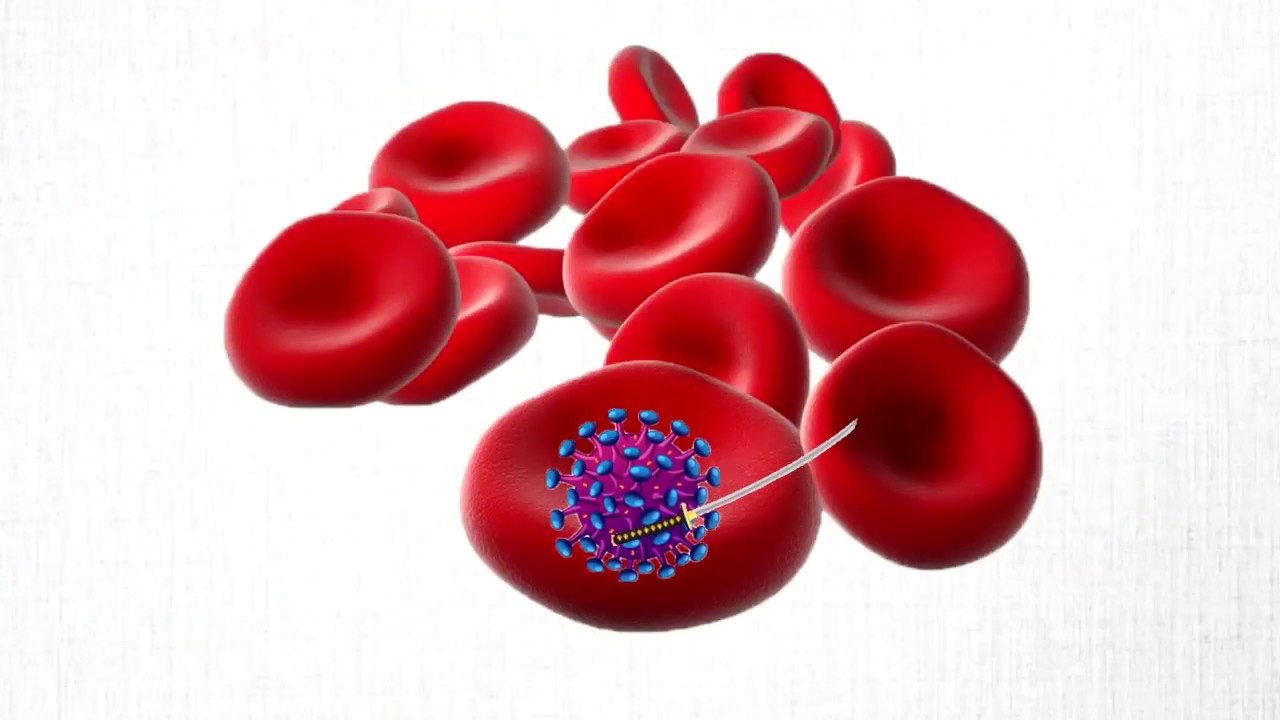 Ano ang HIV? - YouTube