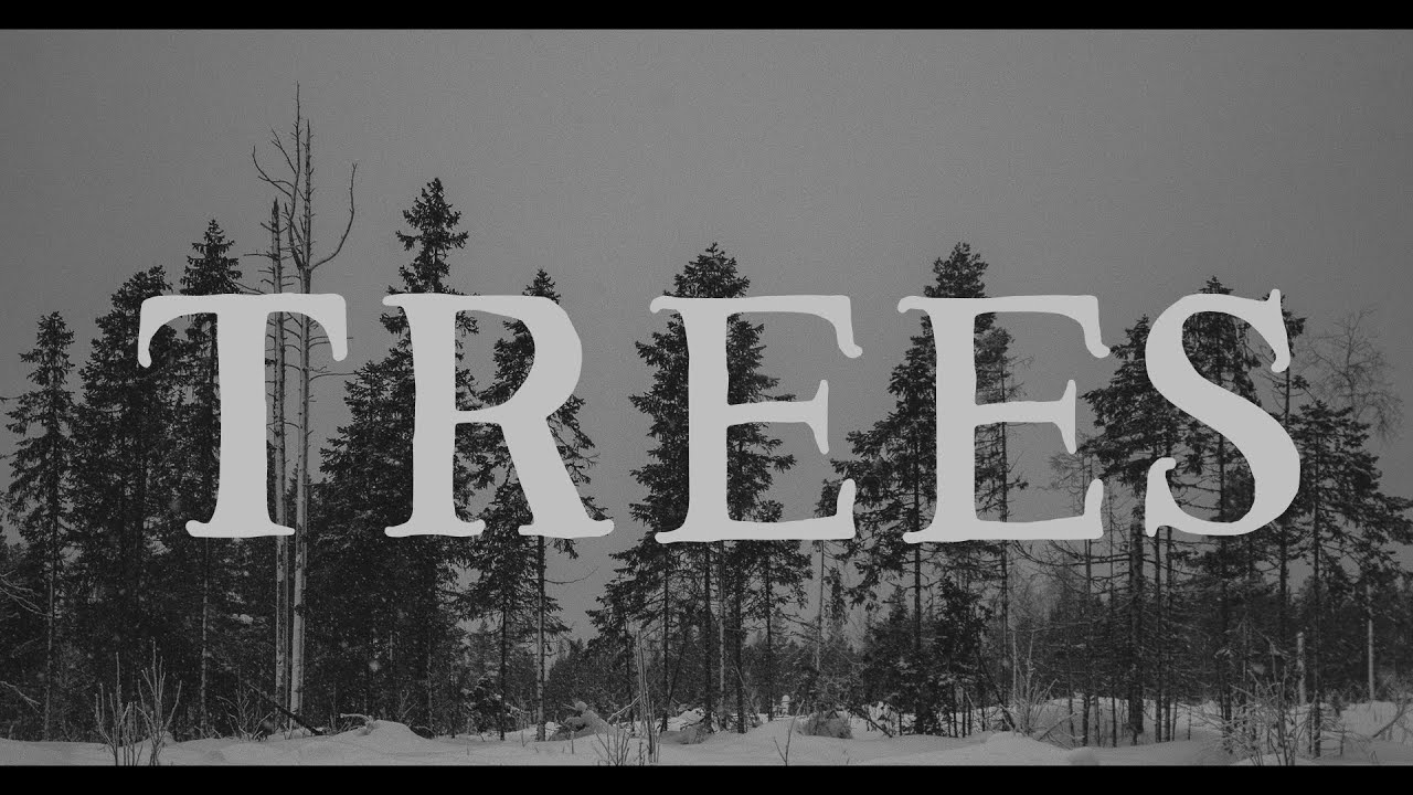 Trees - YouTube
