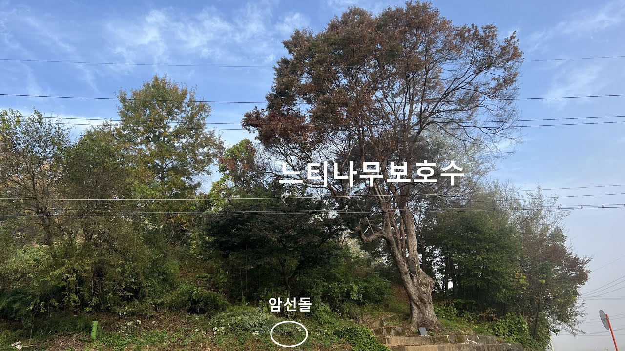 암수선돌 대전의 문화유산 서구 봉곡동 Male and Female Seondol Daejeon Cultural Heritage ...