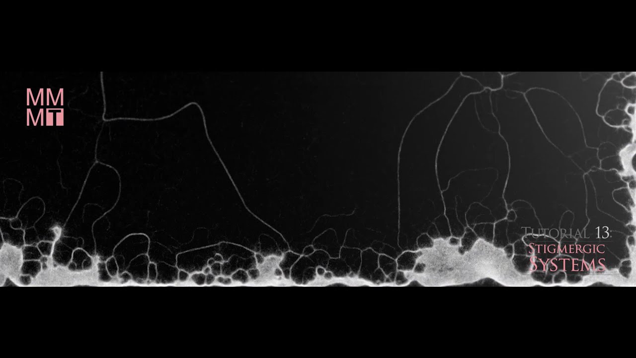 MMMT Tutorial 13 (Promo): Stigmergic systems - YouTube