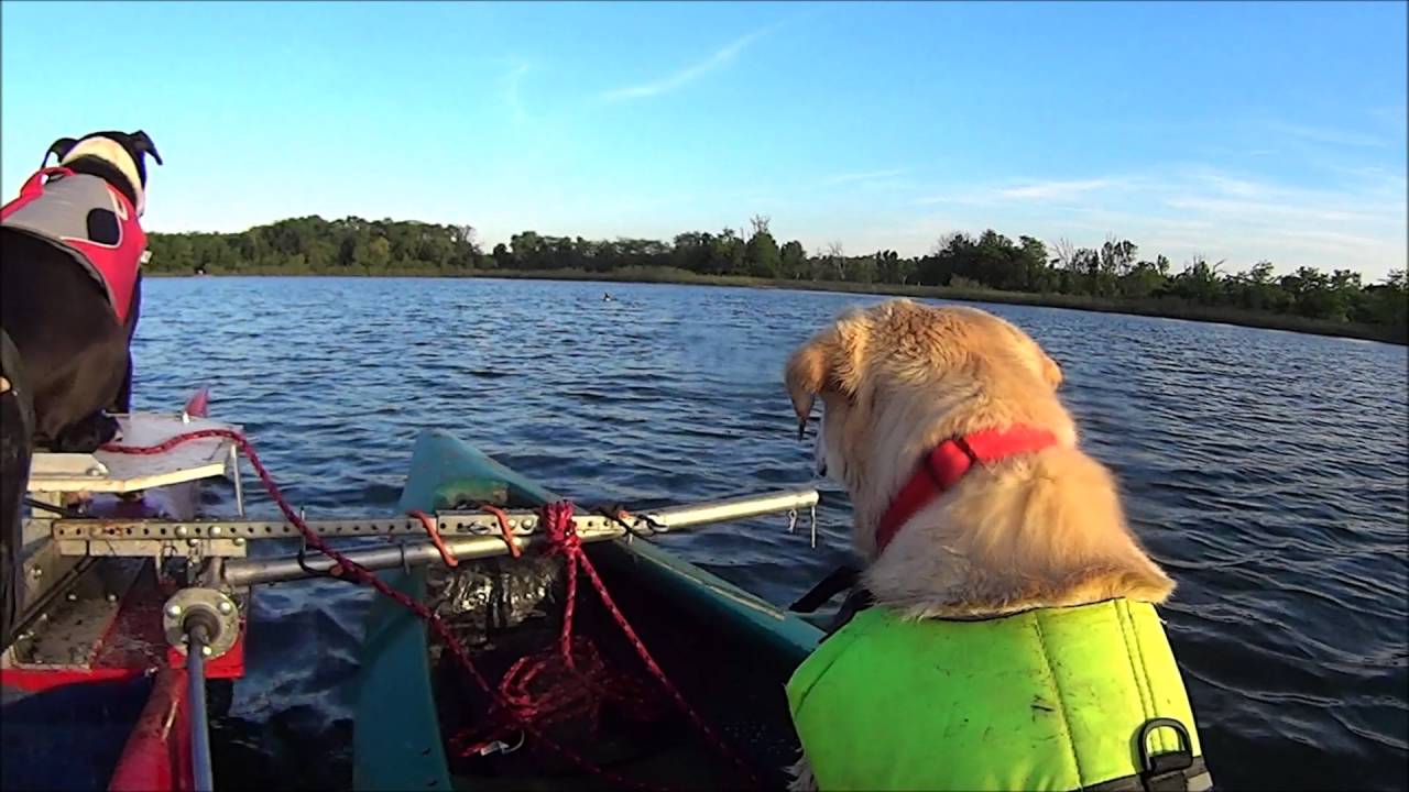 Human Powered Pedal Boat 2016 - YouTube