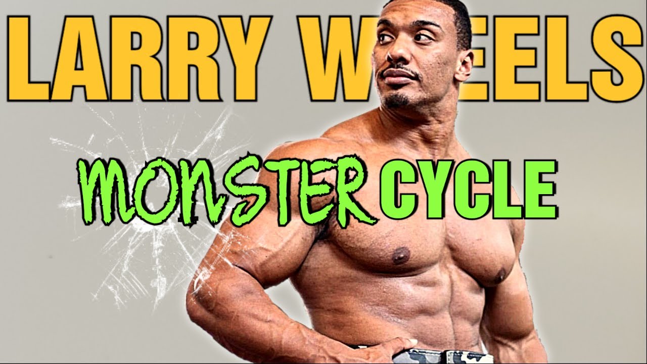 2000mg Test + MEGA Cycle || Larry Wheels - YouTube