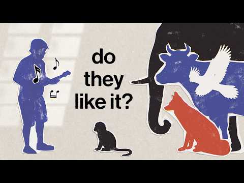 What do other animals think of human music?