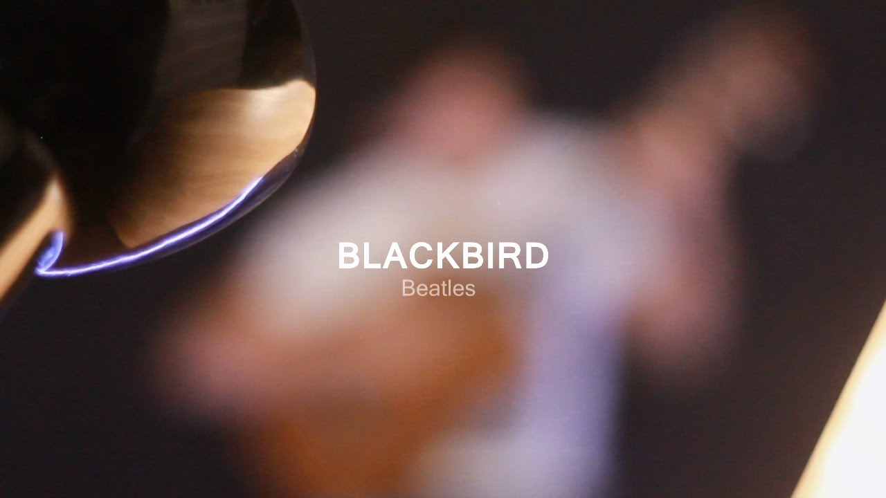 Blackbird- The Beatles (Acoustic Cover) - YouTube