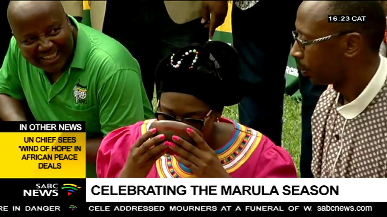 Limpopo celebrates the Marula season - YouTube