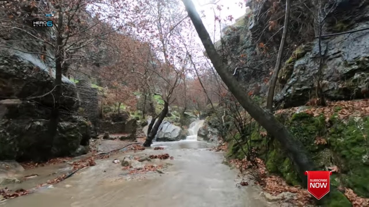 Gali Zoragvan Hiking in the winter in big forest - Kurdistan گه‌لی زۆره ...