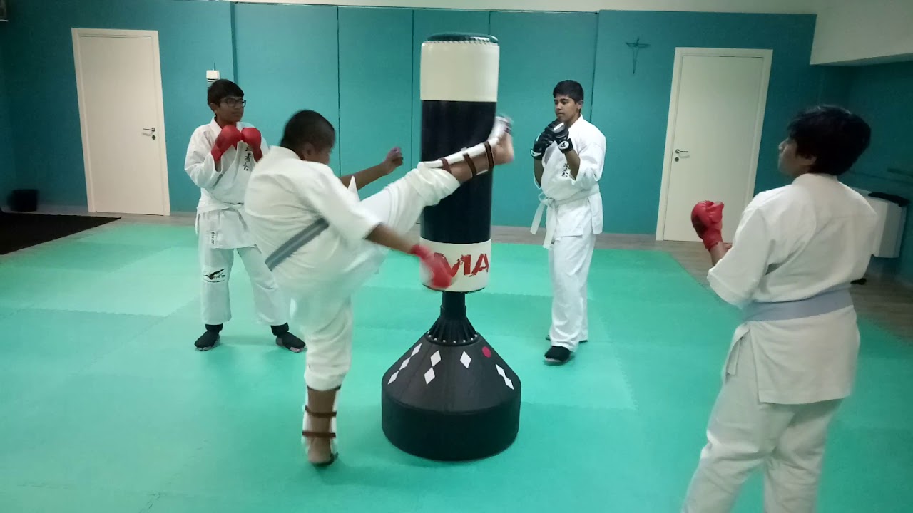 Karate dummy training | #short - YouTube