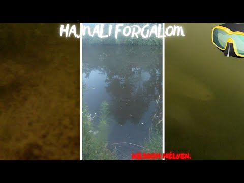 Holt-Maros Élővilága 18. 4K - YouTube