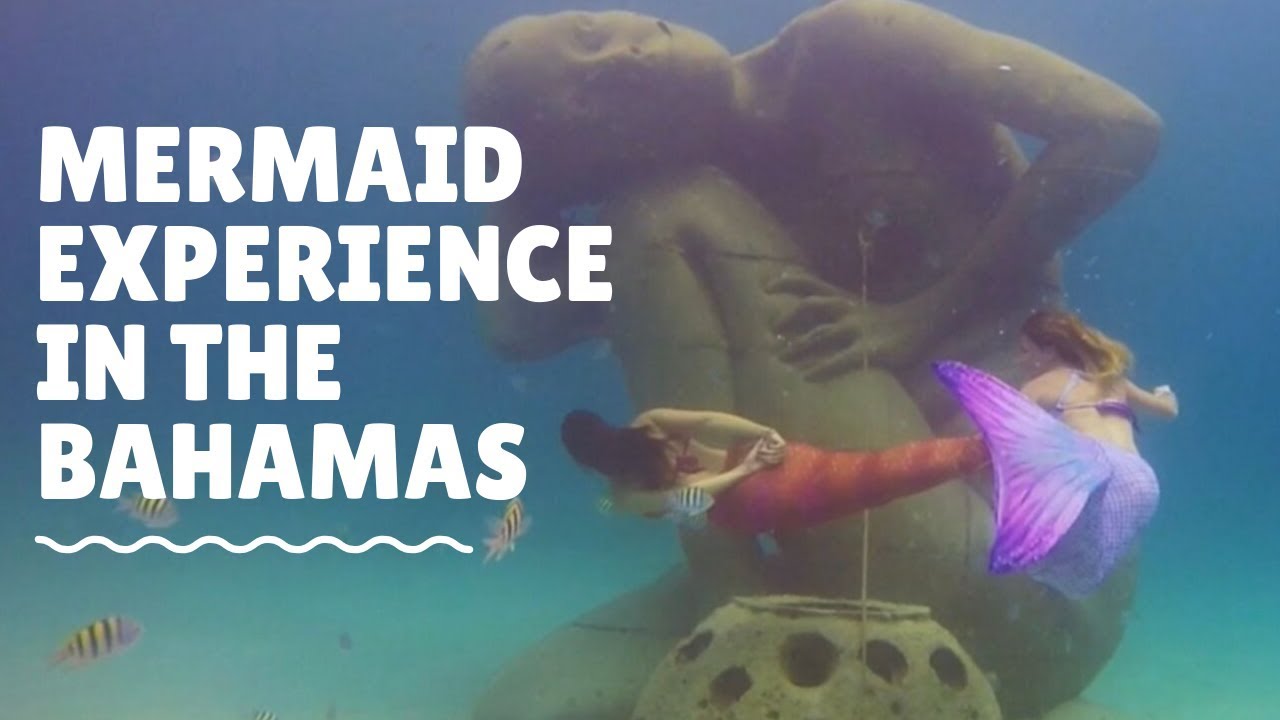 Mermaids in The Bahamas - YouTube