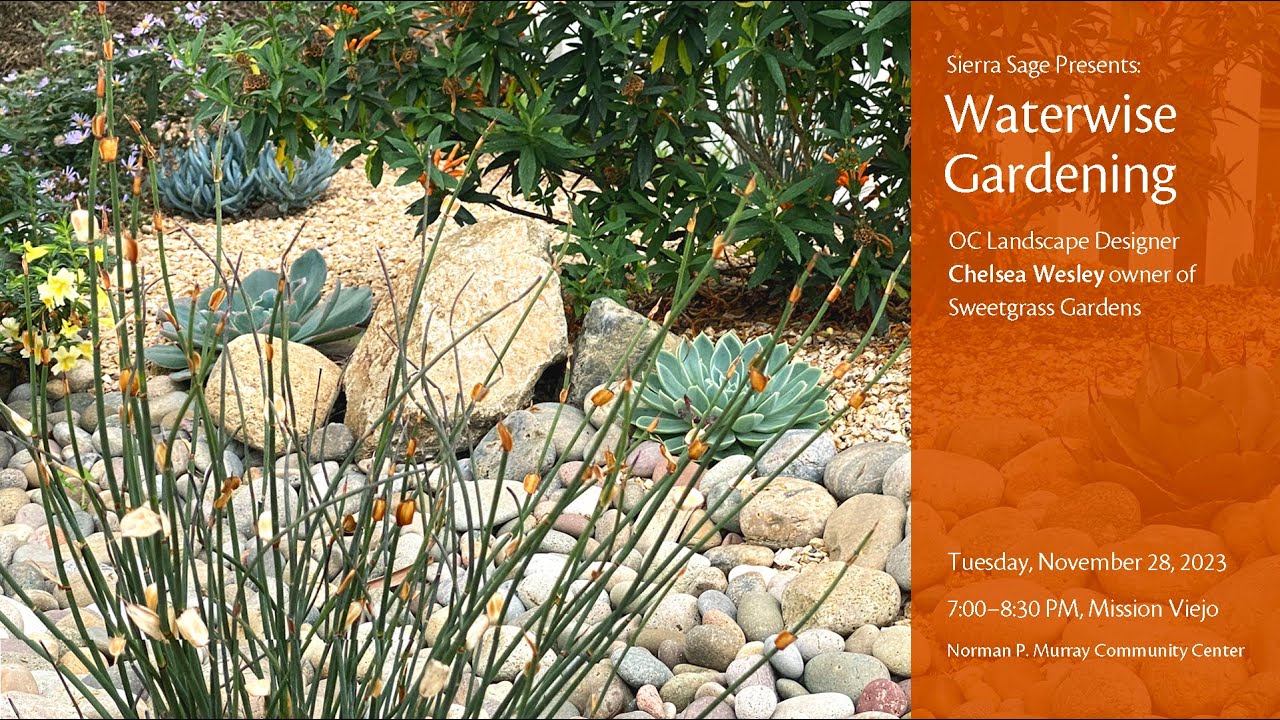 Sierra Sage Presents: Water wise gardening with Chelsea Wesley - YouTube